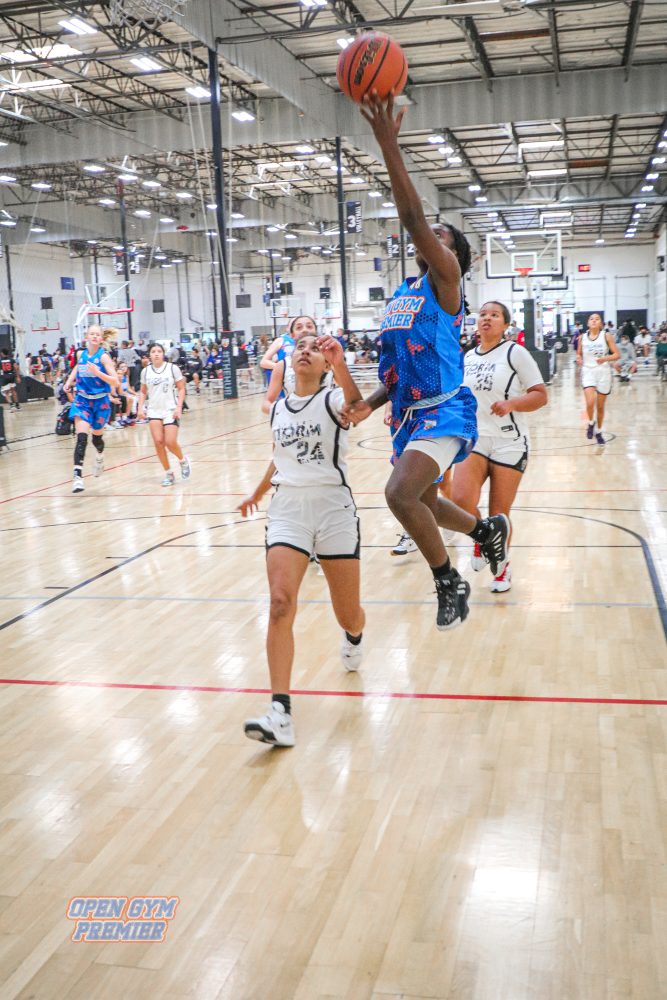 MLK-2021 - Open Gym Premier