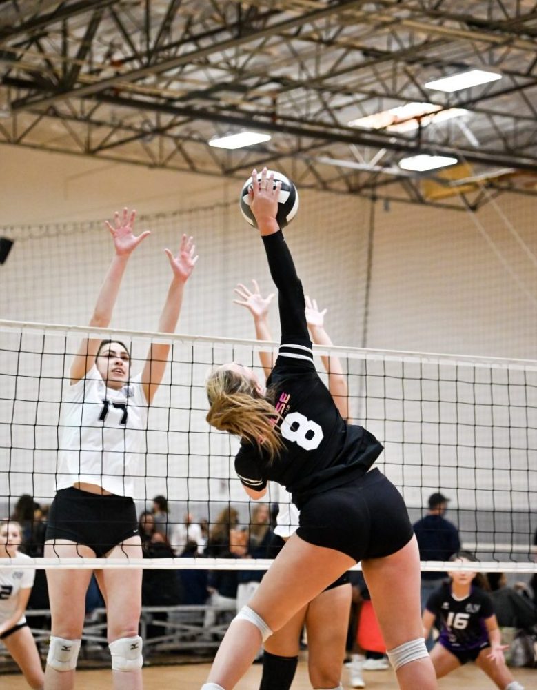 IT STARTS HERE: THE PLAYER JOURNEY - Open Gym Premier