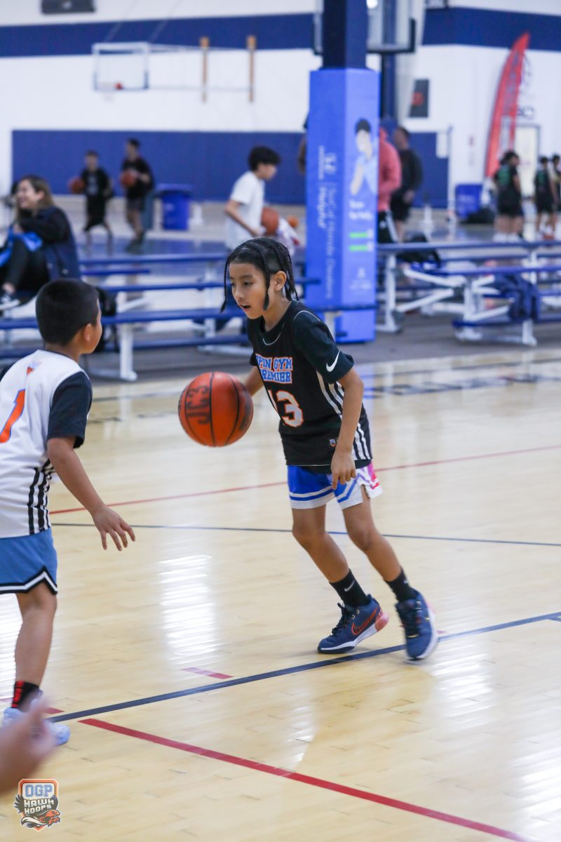 OGP Hawk Hoops Boys Youth Club Team - Open Gym Premier